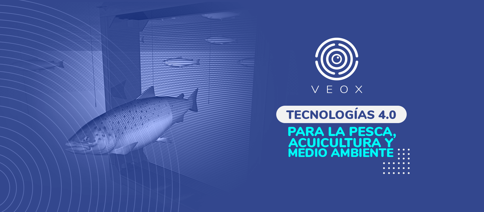 VEOX